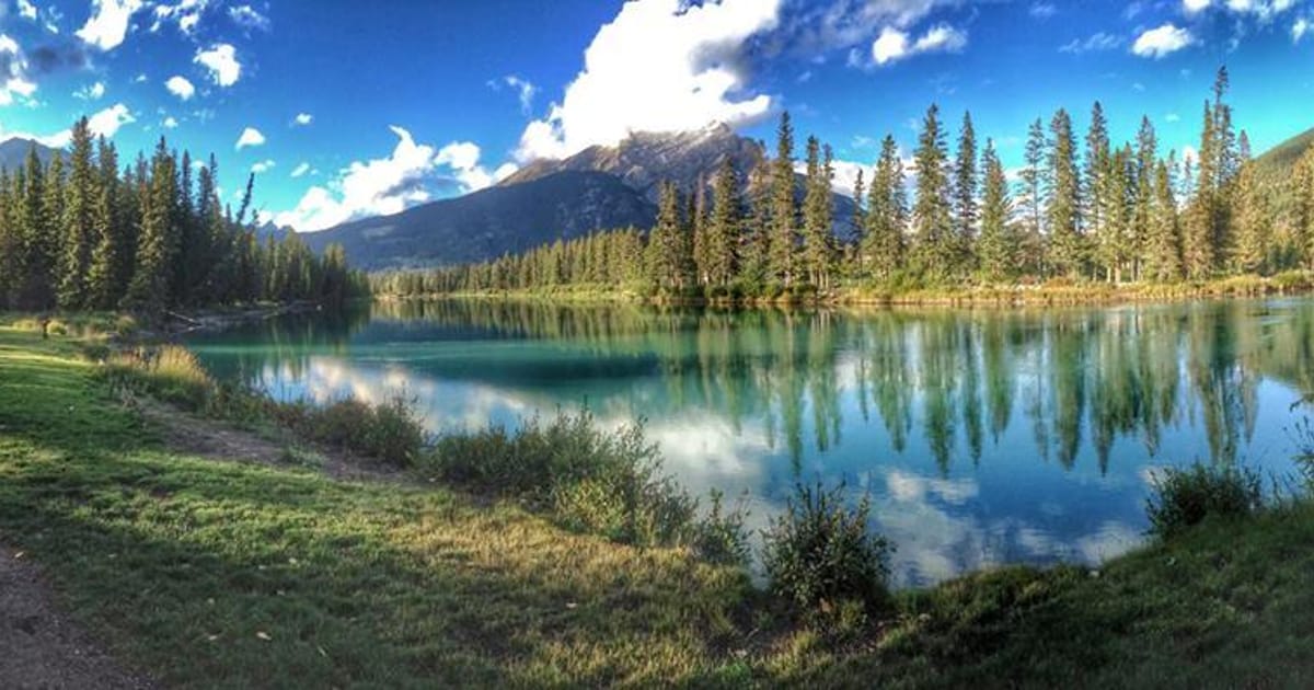 Pia Ferrari - Banff, Alberta, Canada, Freelance Media Artist, Sheridan ...