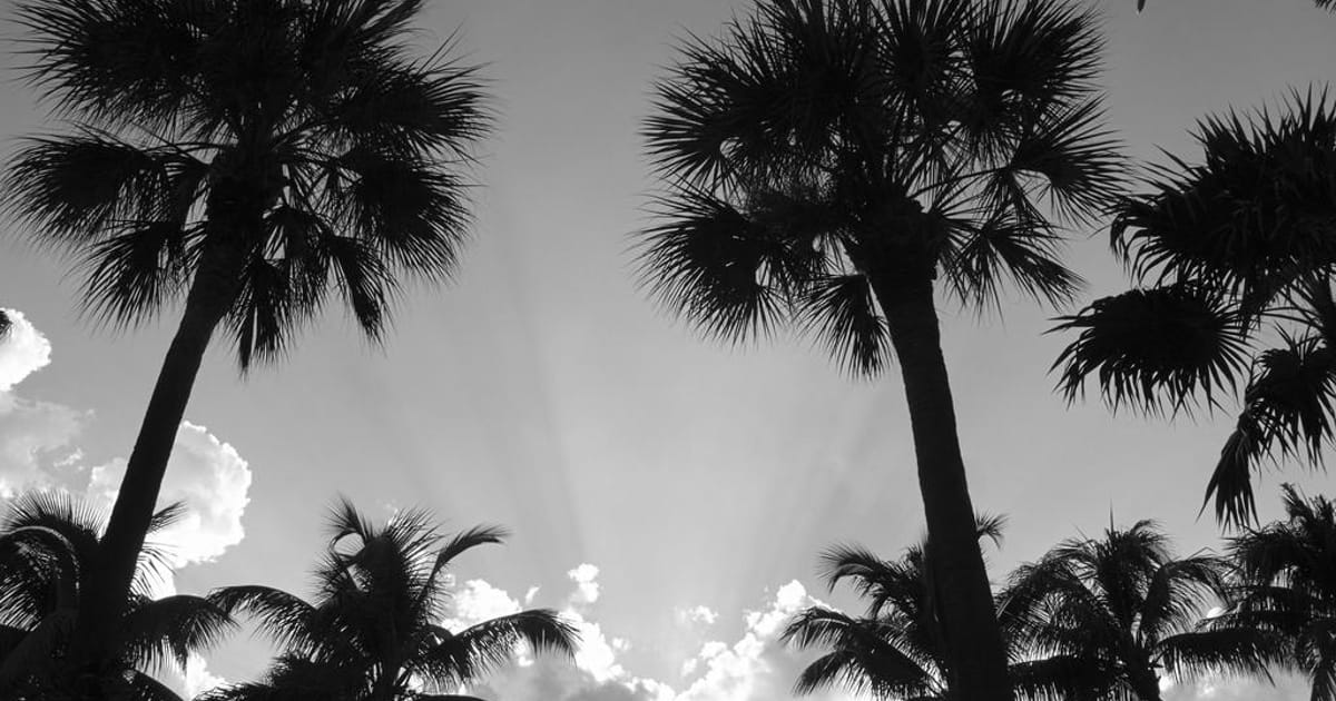 Luis Roca - Miami, Florida, MTV Networks, School of Visual Arts NYC ...