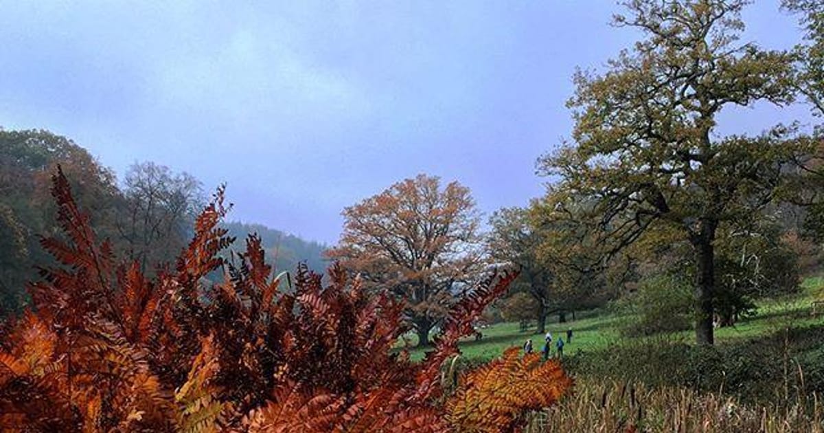 Martin Newham - England, United Kingdom | about.me