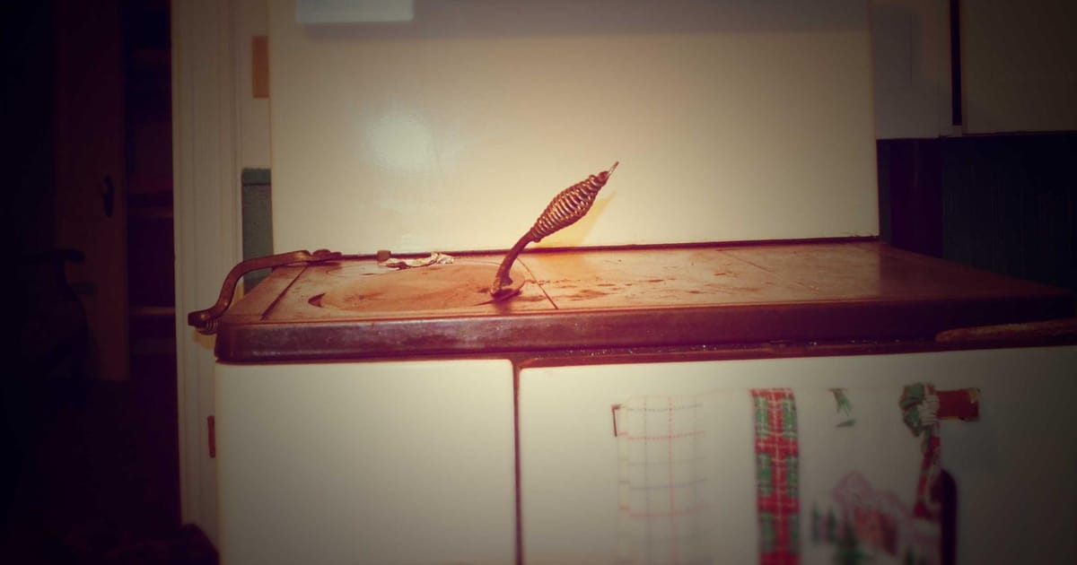 Dave Roe - St. John's, Newfoundland and Labrador, Canada, Nova Scotia ...