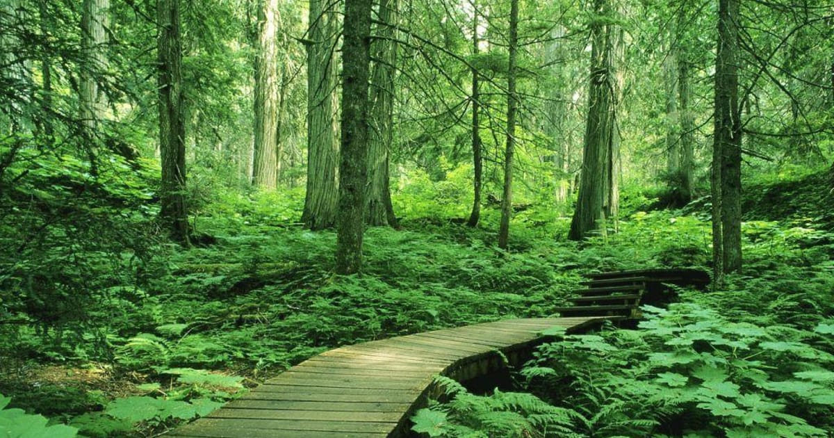 Deah Curry PhD - the United States, DeWriteSites, Saybrook University ...