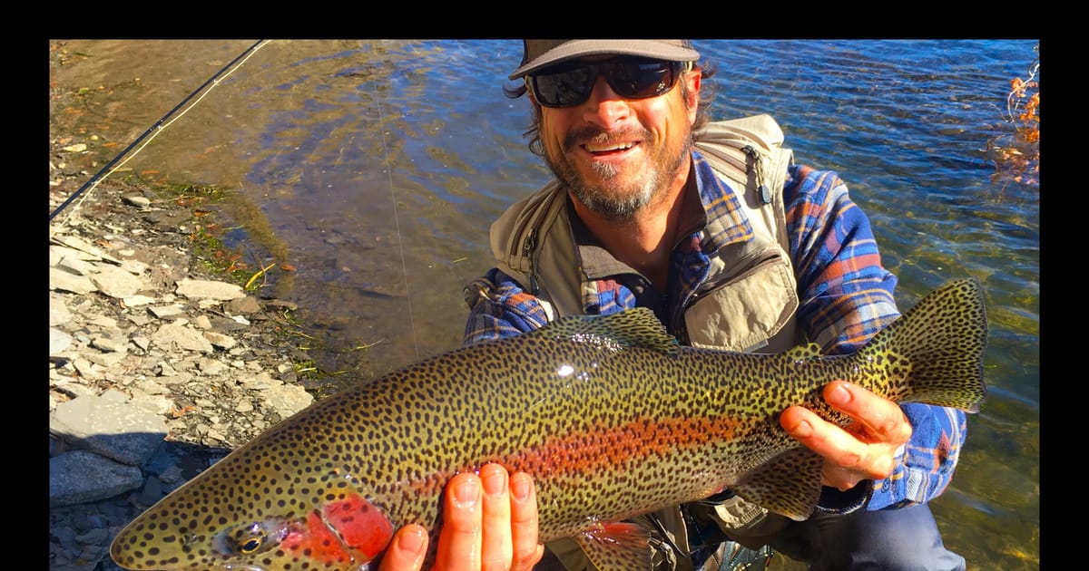 Rex Brewka, BS, CNMT - Denver, Colorado | about.me