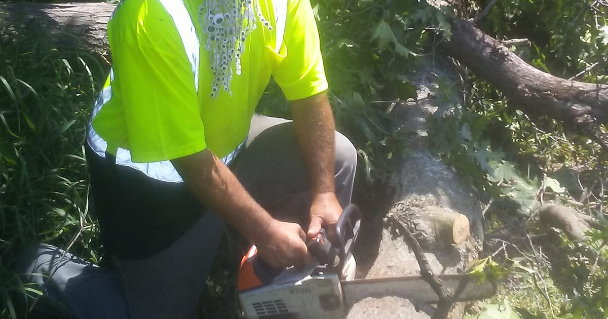 tom walling - Jackson, MI | about.me