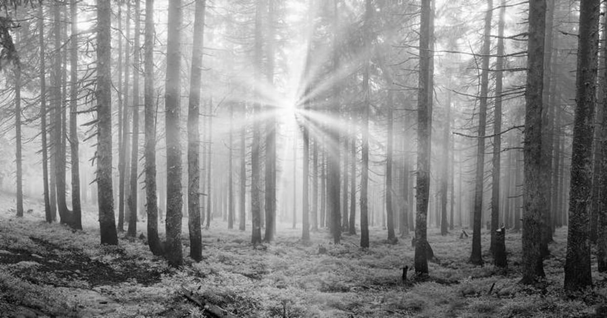 Matthew Walker - Birmingham, UK, University of Leeds | about.me