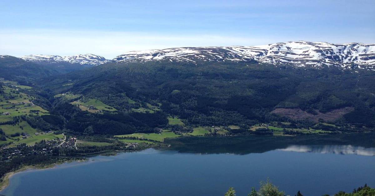 Andrew Salzman - New York, Salesforce, Stephen M. Ross School of ...