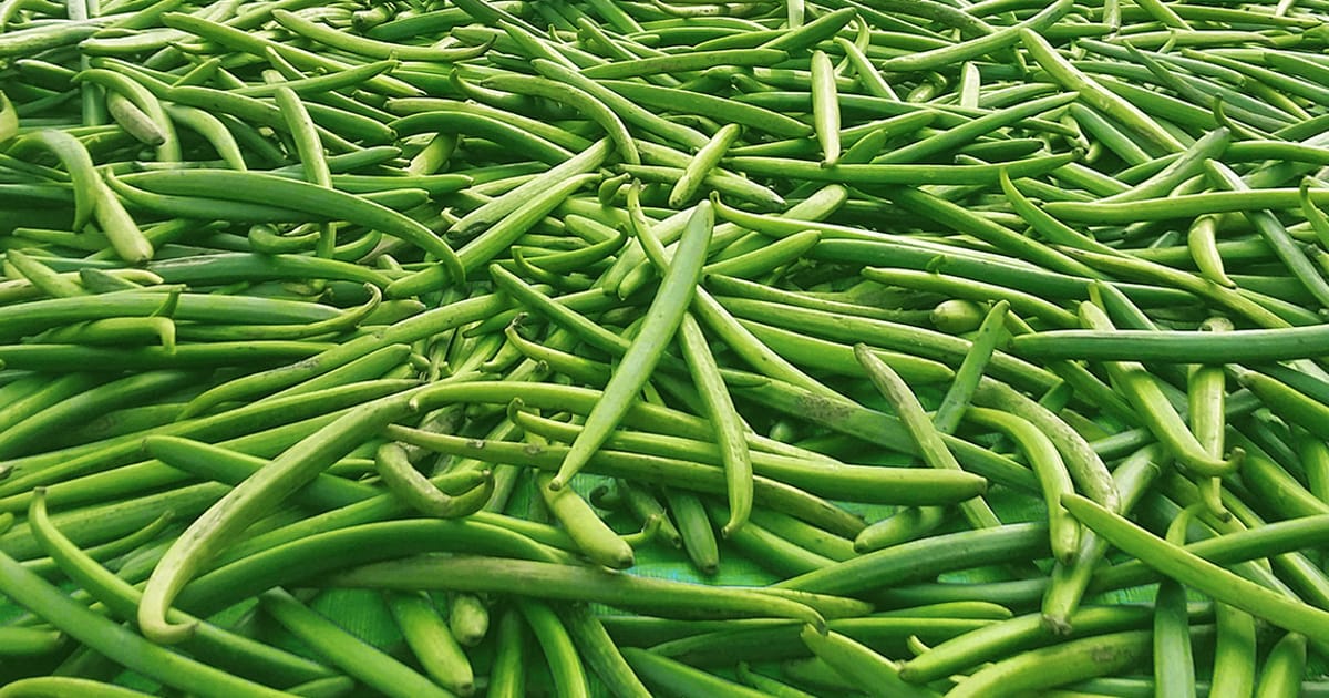 Expovan India - India | about.me