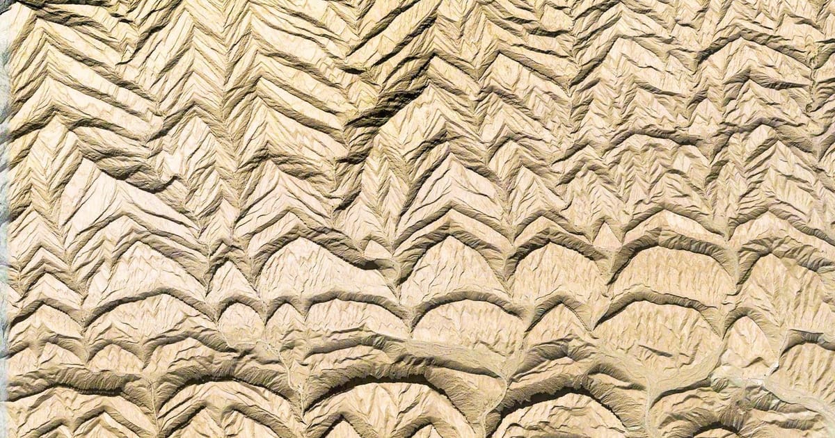 Tim Terpstra - The Hague, Netherlands, Tim Terpstra, Master of Arts in ...