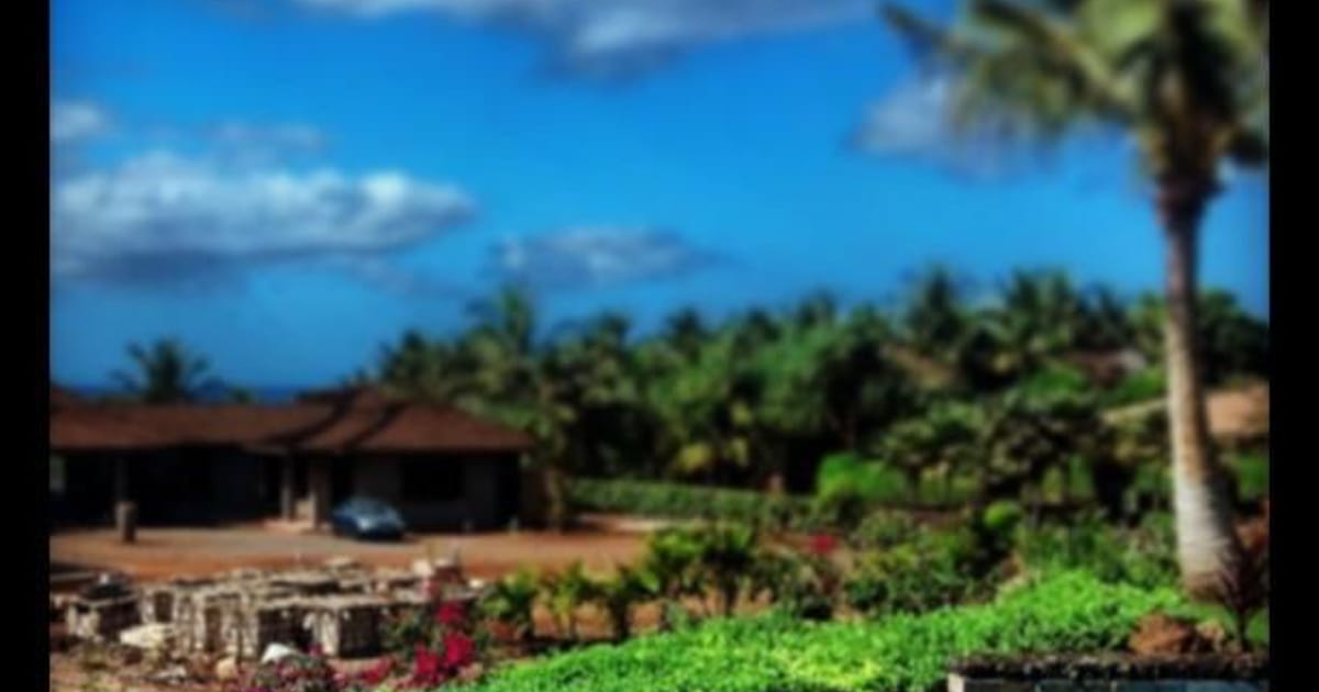 Mitch Tempo - Hawaii, Realtor®(B), E-Pro | about.me