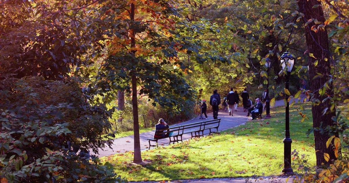 Lauren Paige McCall - New York, Dusty Film and Animation Festival ...