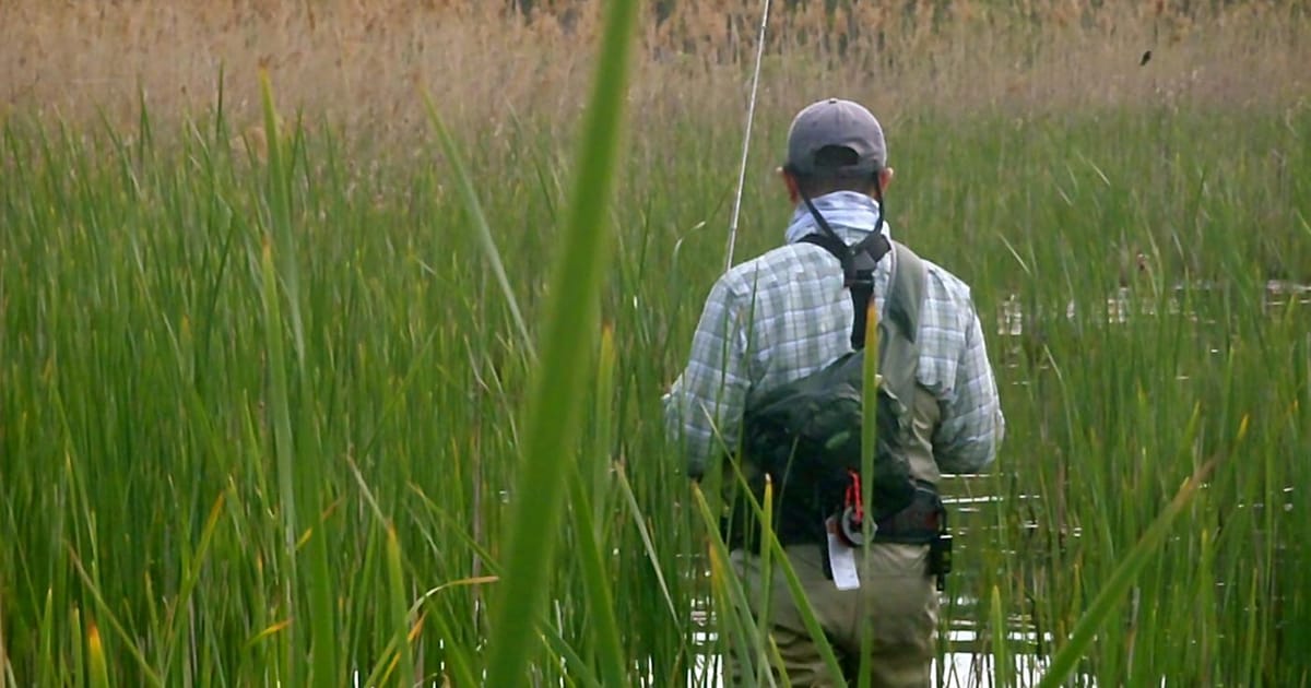 Lee Terkel - Beaver, Pennsylvania, cellhelmet, University of Pittsburgh ...