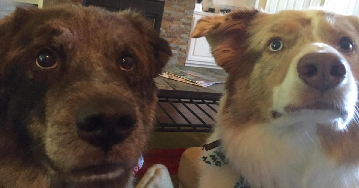 Rick Maynard - Georgetown, KY, United States, Sr. Mgr., PR, Yum! Brands ...