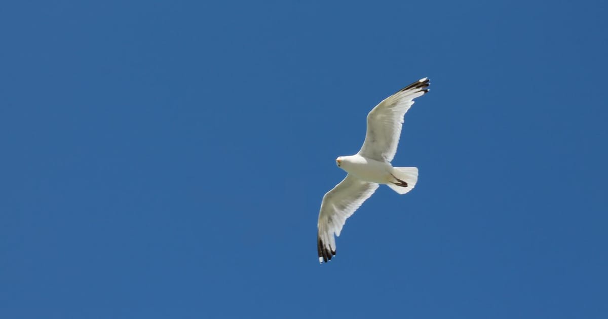 Marc Augier - France, xDM Consulting, SupMeca Paris, UNSA | about.me