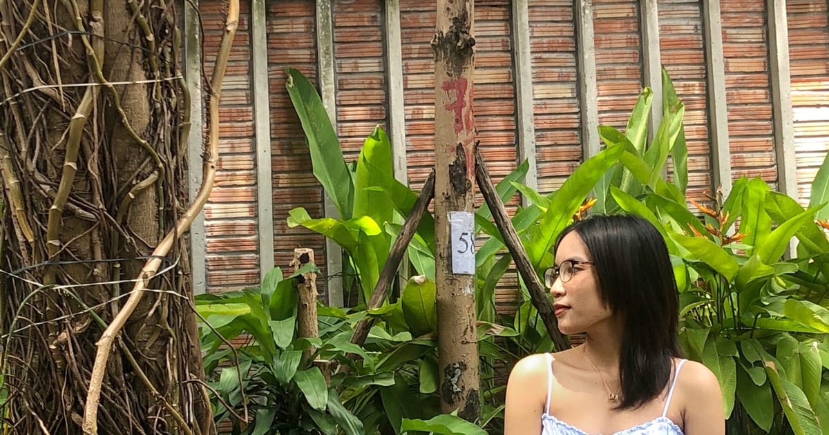 Quinn Nguyen - Hanoi, Vietnam, FPT Adtrue JSC | about.me