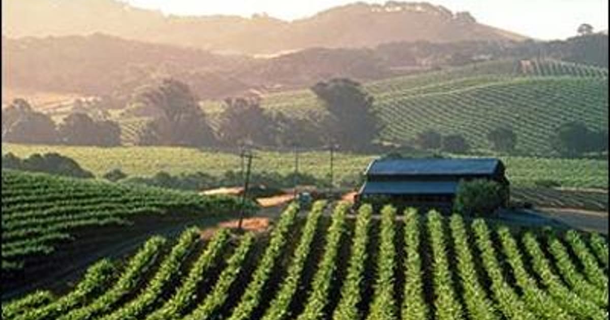 Michael Grefe - Dunnigan, California, Art Institute of Pittsburgh ...