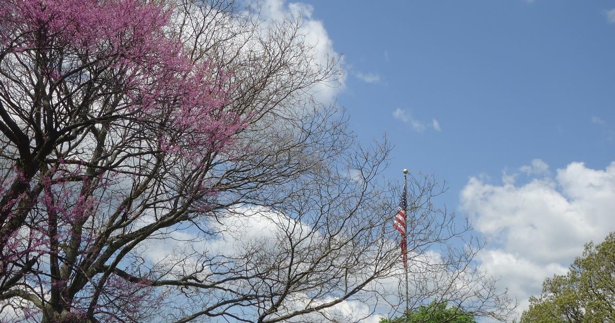 Collin Paran - Rochester, NY | about.me