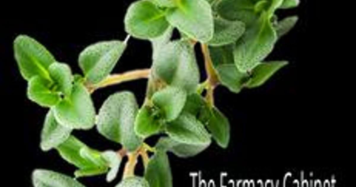 Karen Badea, Author - Kentucky, Karen Badea, Author, Eastern Kentucky ...