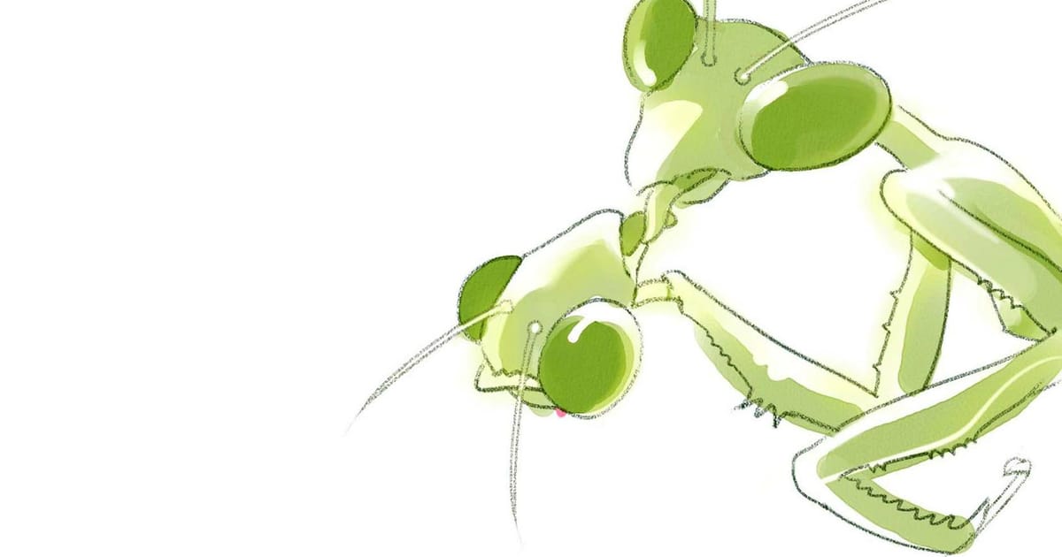 Overton Loyd - Tallahassee, Florida | about.me