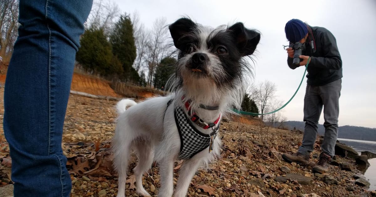 David Orr - Bloomington, Indiana, Indiana University Bloomington | about.me