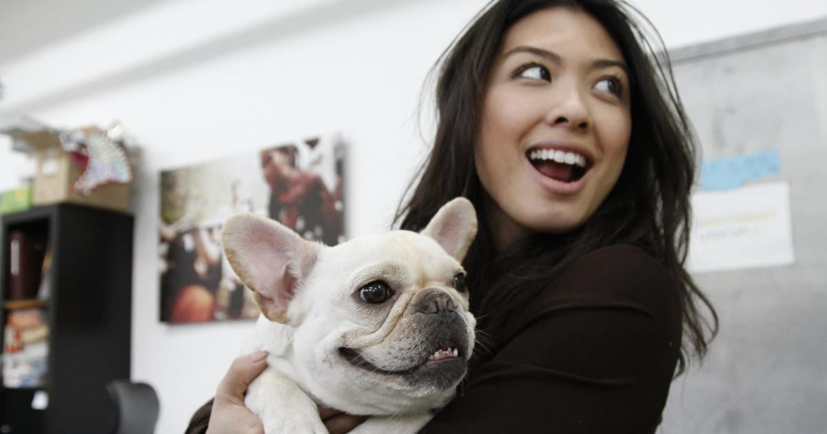 Mimi Chan - Bay Area, CA, United States, University of Houston | about.me