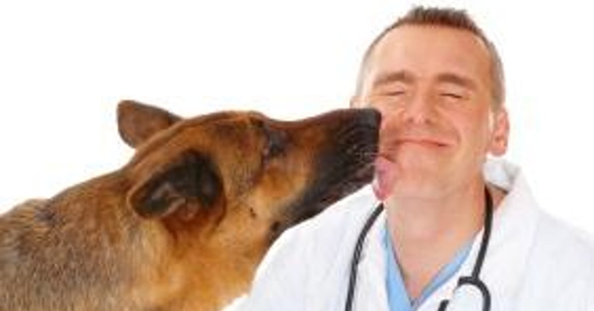 Rosanne Kadish - Lake Worth, Florida, Lantana-Atlantis Animal Hospit ...