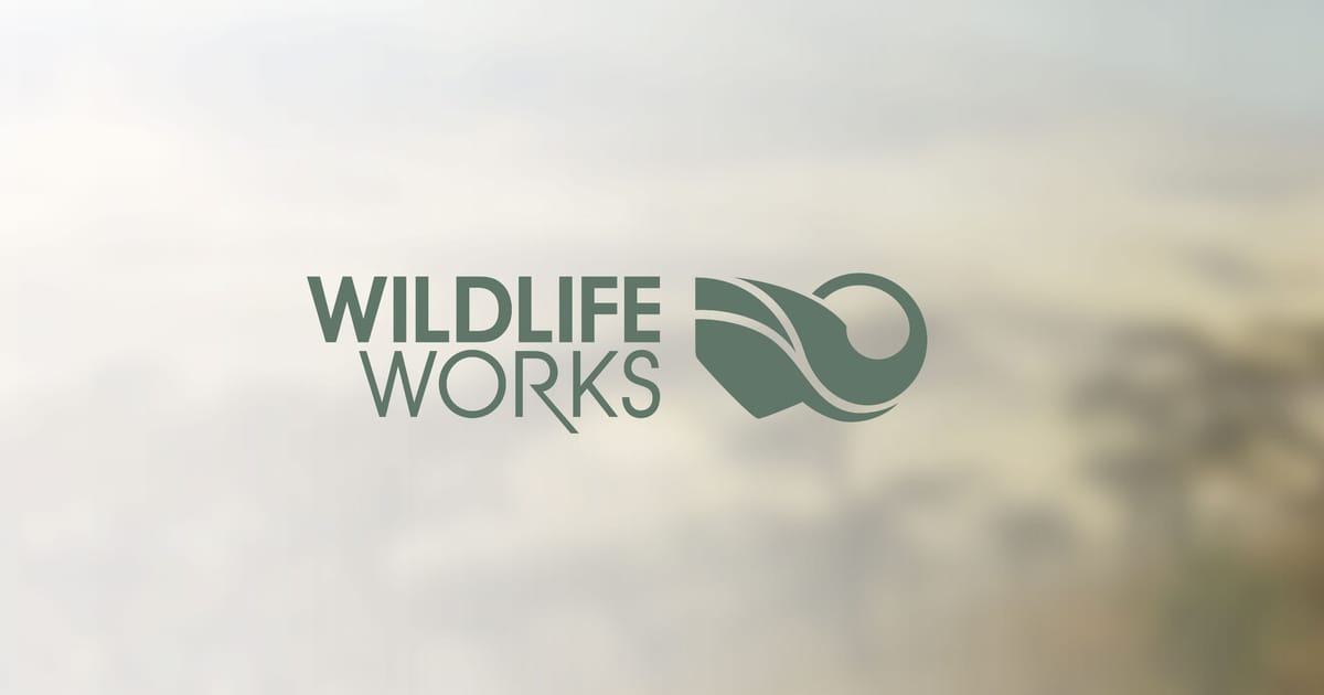 Wildlife Works - Mill Valley, Ca | about.me