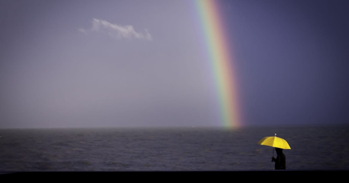 Gavin Ferns - North Pole, Idaho, Niche Escapes Holiday Rentals, Château ...