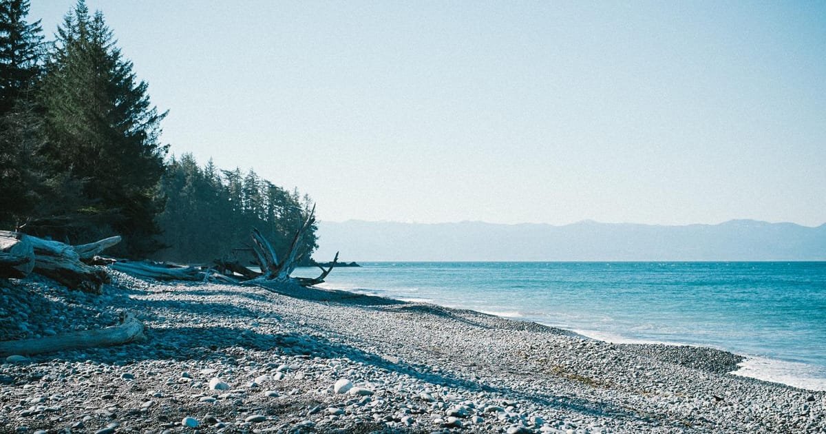 Annette Walker - Seattle, Washington, Astonish Inc., Amazon.com, MBA ...