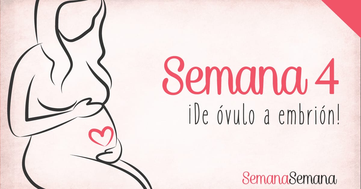 Semana 4 de Embarazo - España | about.me