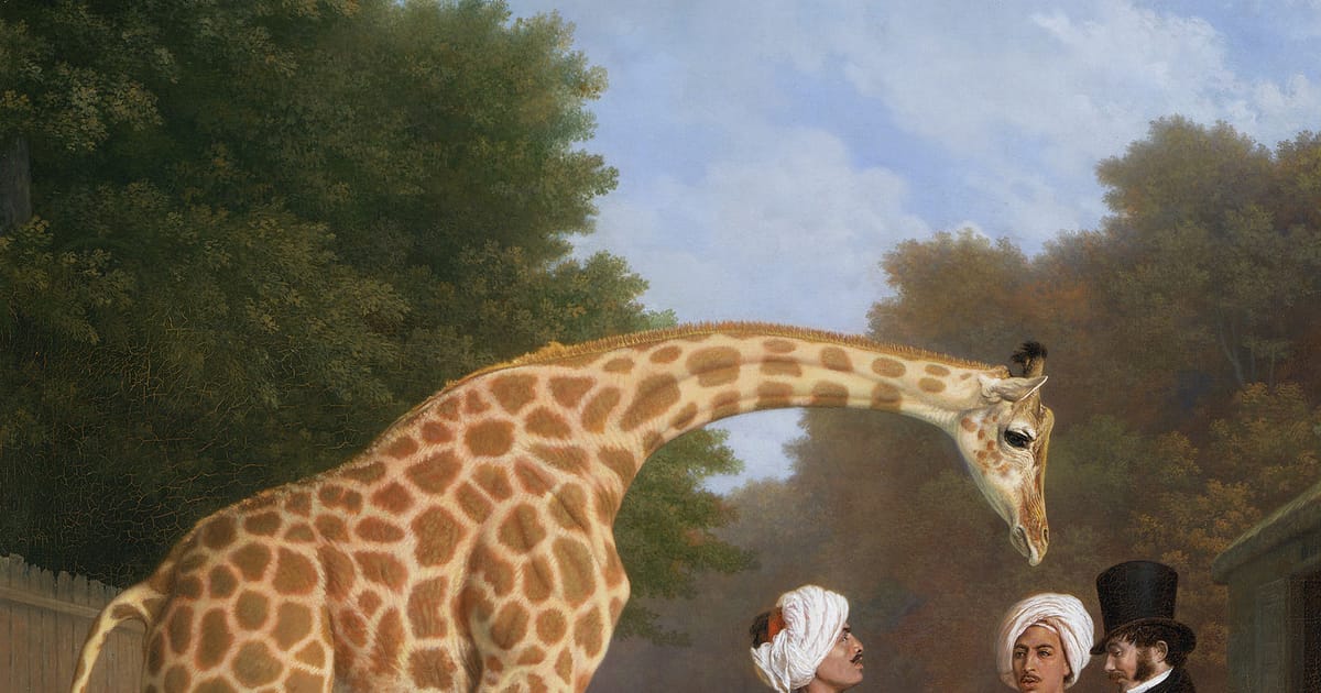 Street Giraffe - the United States | about.me