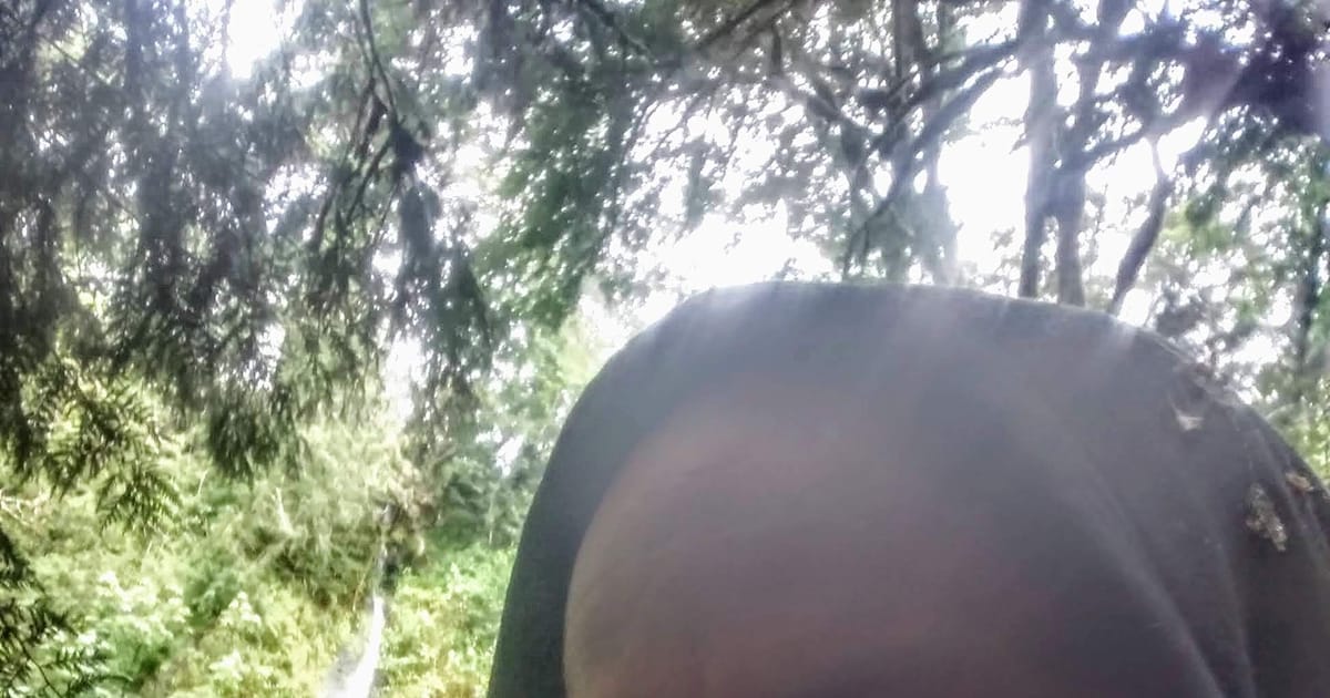 Jacob Starr - Arlington | about.me