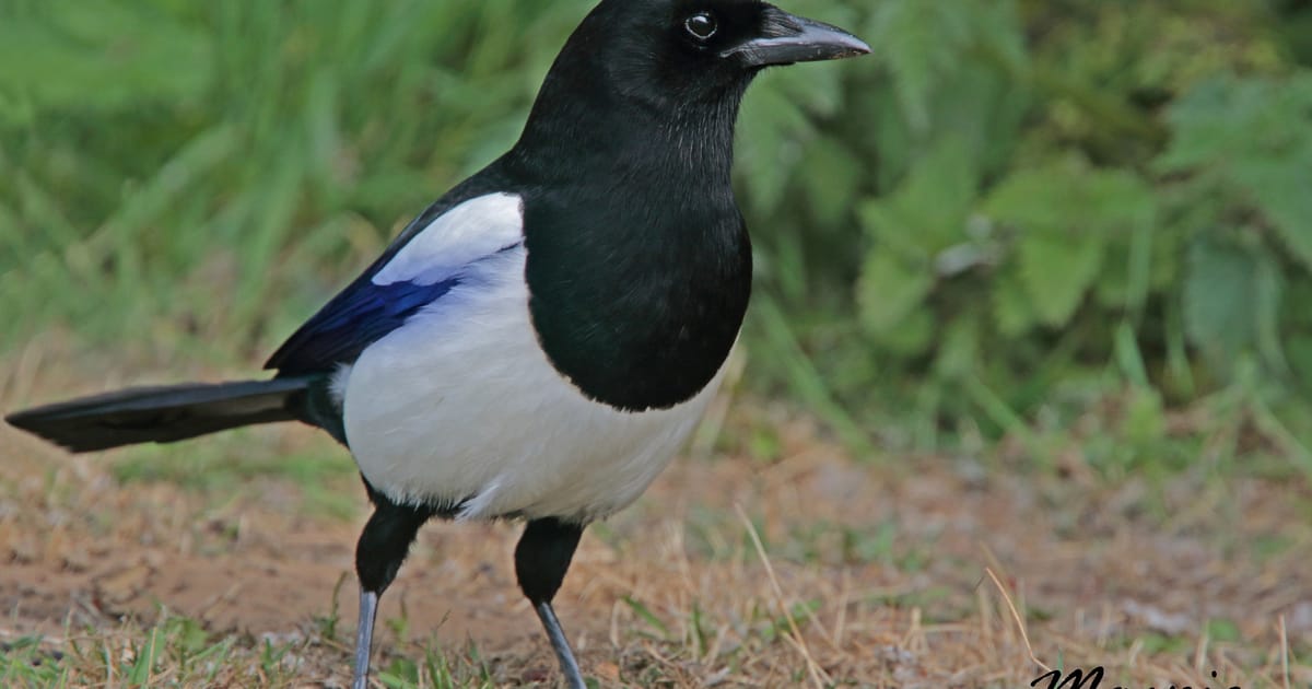 Degos Torianna - Atlanta, GA | about.me