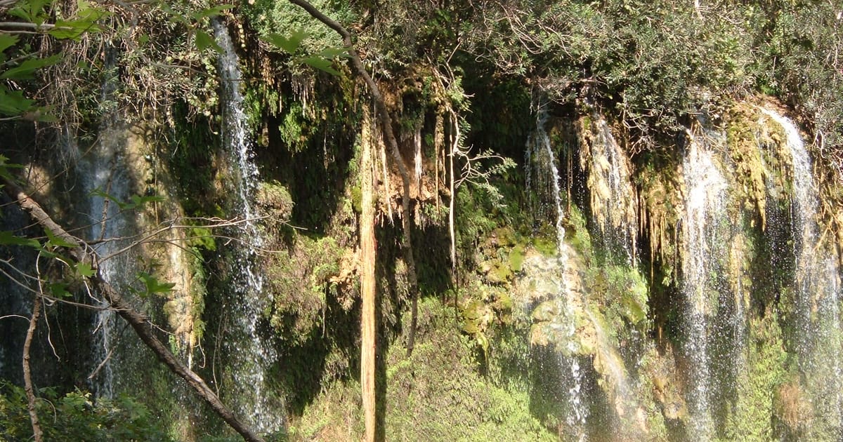 Bea Maas - Arnhem, Nederland, Vishnuh-Society, High School | about.me