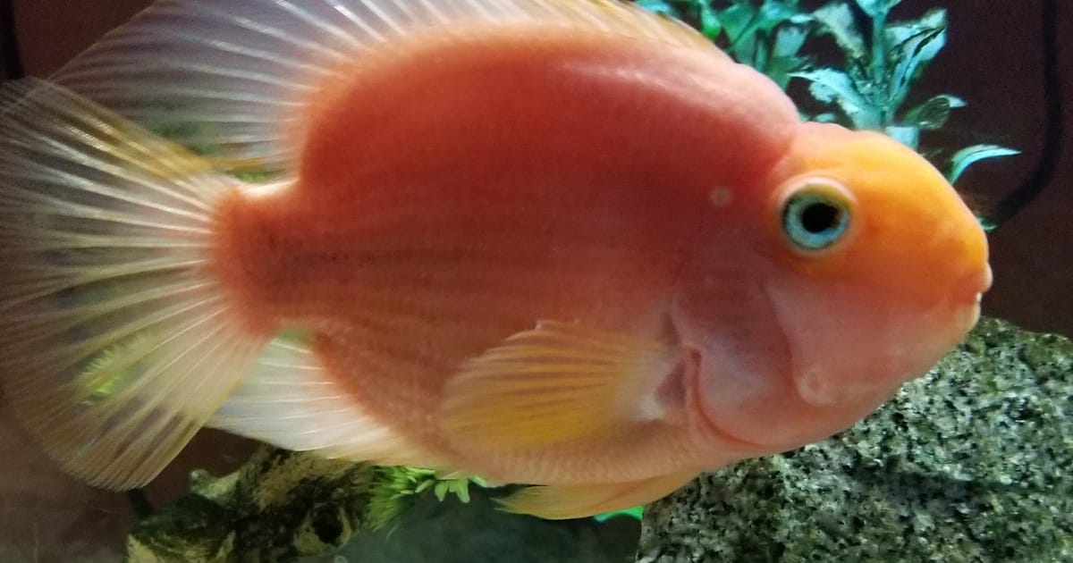 BRUCE KLIGMAN - Myrtle Beach, South Carolina | about.me