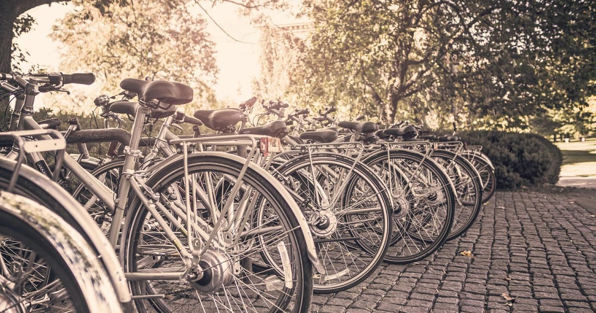 Lee McIntosh - London, United Kingdom | about.me