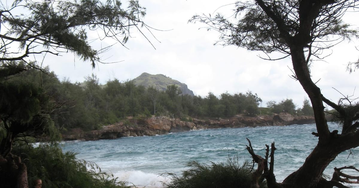 Mark Fane - Chino Hills, California, Trading, Risk Management, Hedge ...