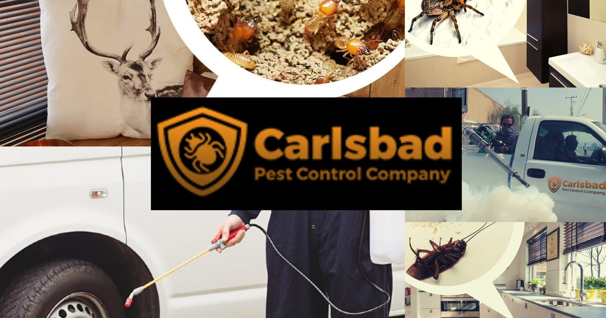 Carlsbad Pest Control Company - Carlsbad, California | about.me