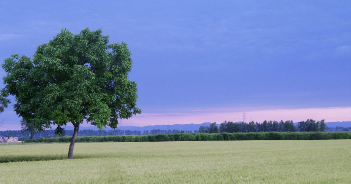 Maria Rita Biagini - Italy, University of Bologna, University of ...