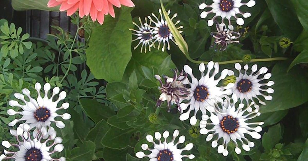 Stuart Culpepper - New York | about.me