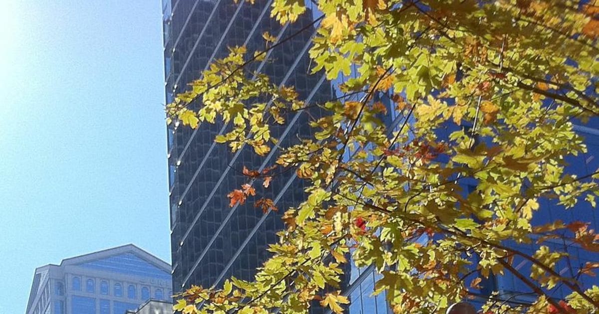 Andrew Dubinsky - Austin, Texas, PsychTrac, Inc, Bachelor of Computer ...