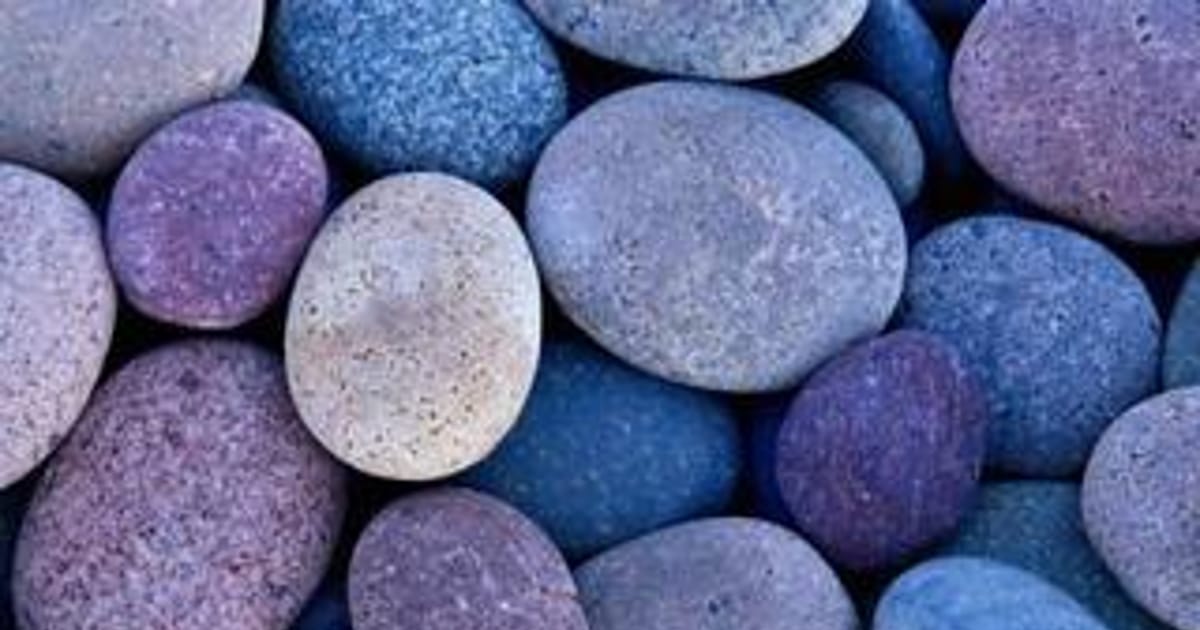 Chelsea Hall - Holland, MI 49424 | about.me