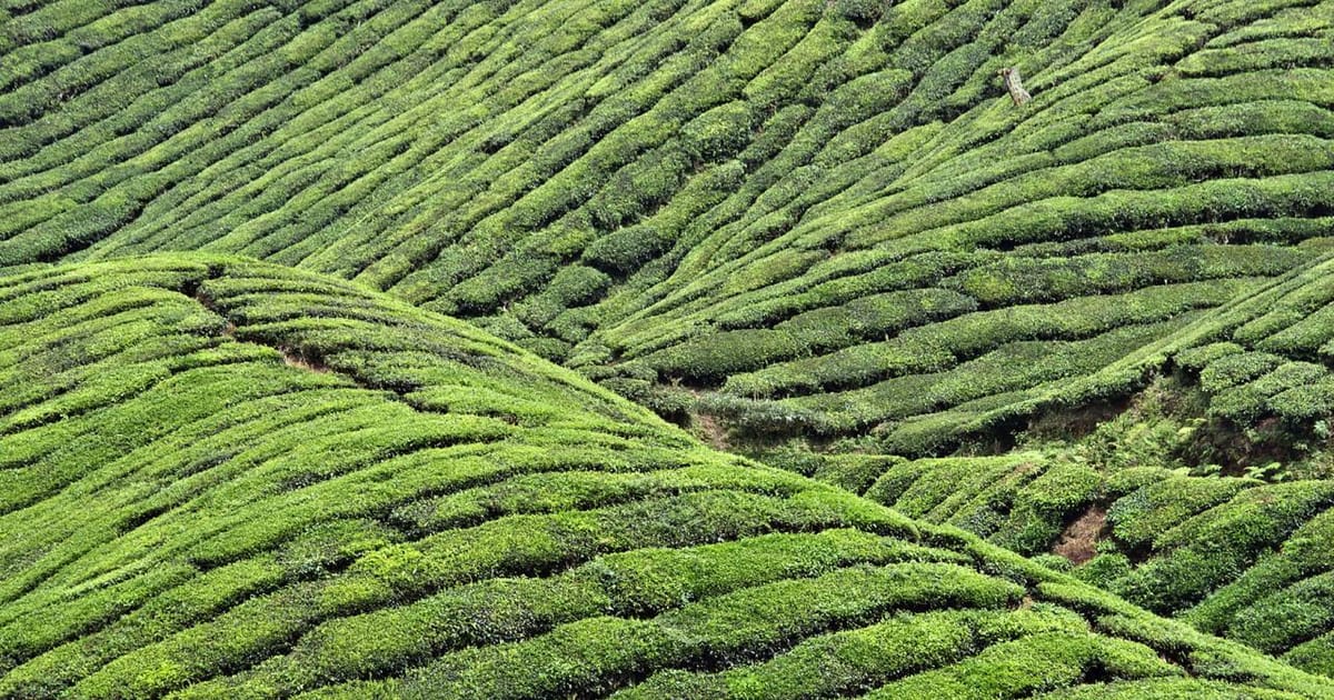 Ian Pittman - Federal Territory of Kuala Lumpur, Malaysia, The ...