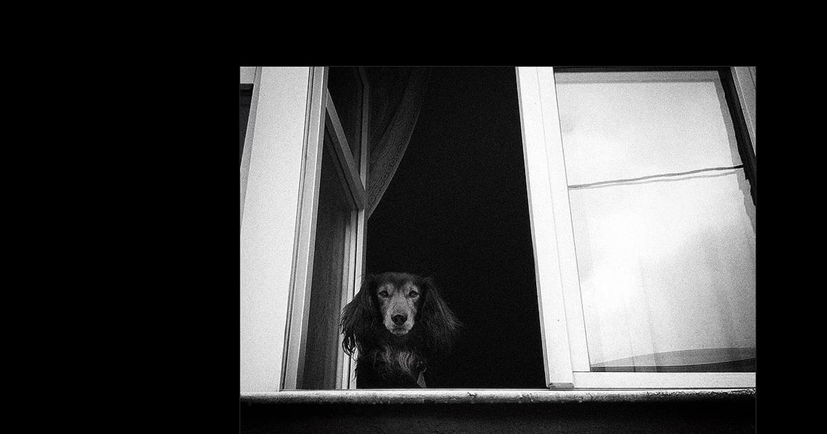 Steven Shiau - 波蘭, Visual Communication | about.me