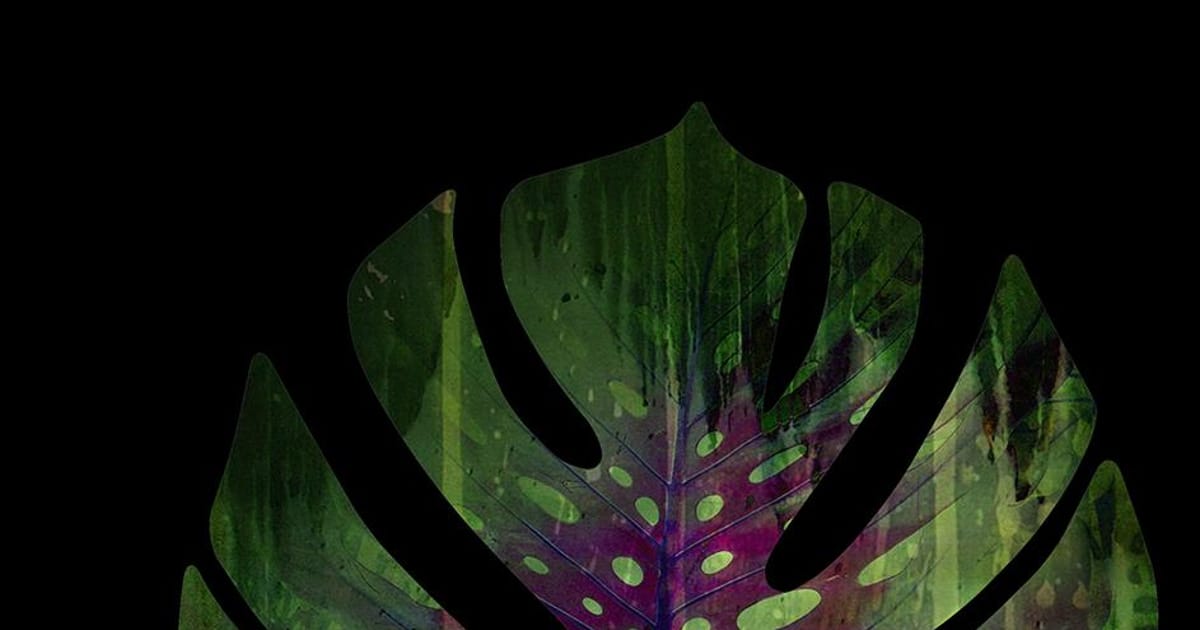 Ben Cunningham - Melbourne, Australia | about.me