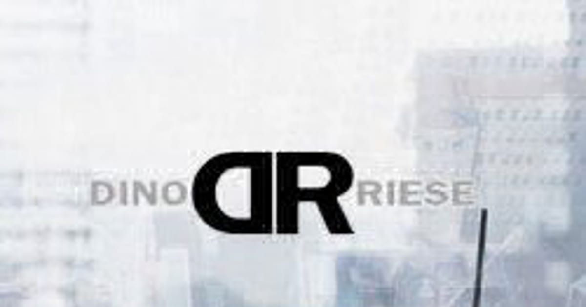 Dino Riese - New York | about.me