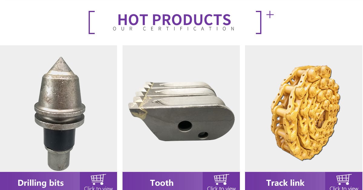 drill tooth - United States | about.me