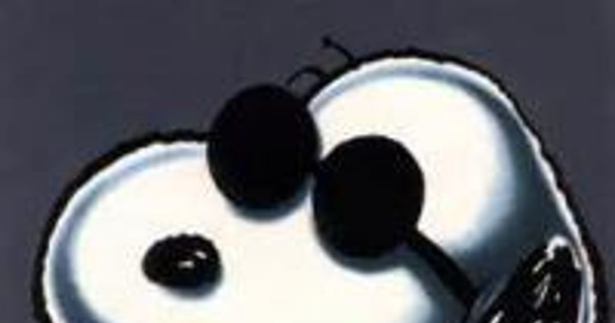 James Decker - Coconut Creek, Florida | about.me