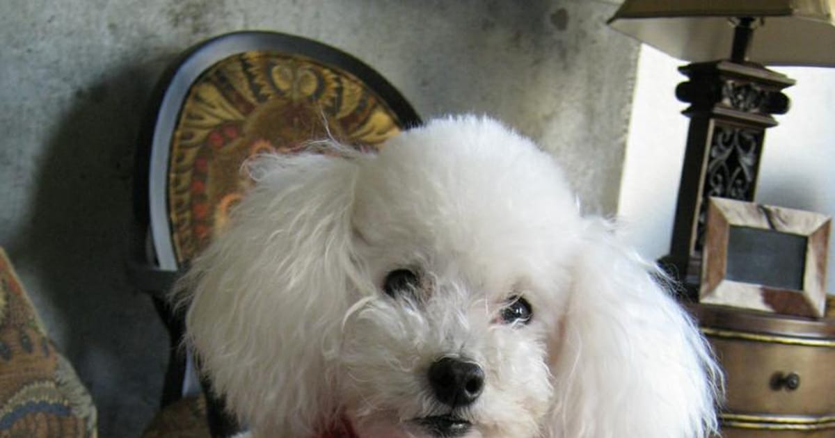 Lisa Melby - California, Mortgage Real Estate RetireStg, CA DRE CA DOI ...