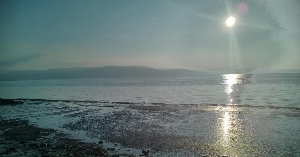 Marko Milost McLion - Slovenska Bistrica, Slovenia, eŠola d.o.o. | about.me