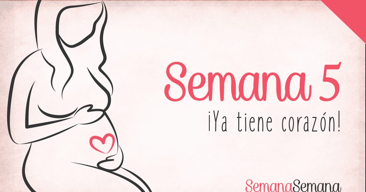 Semana 5 de Embarazo - España | about.me