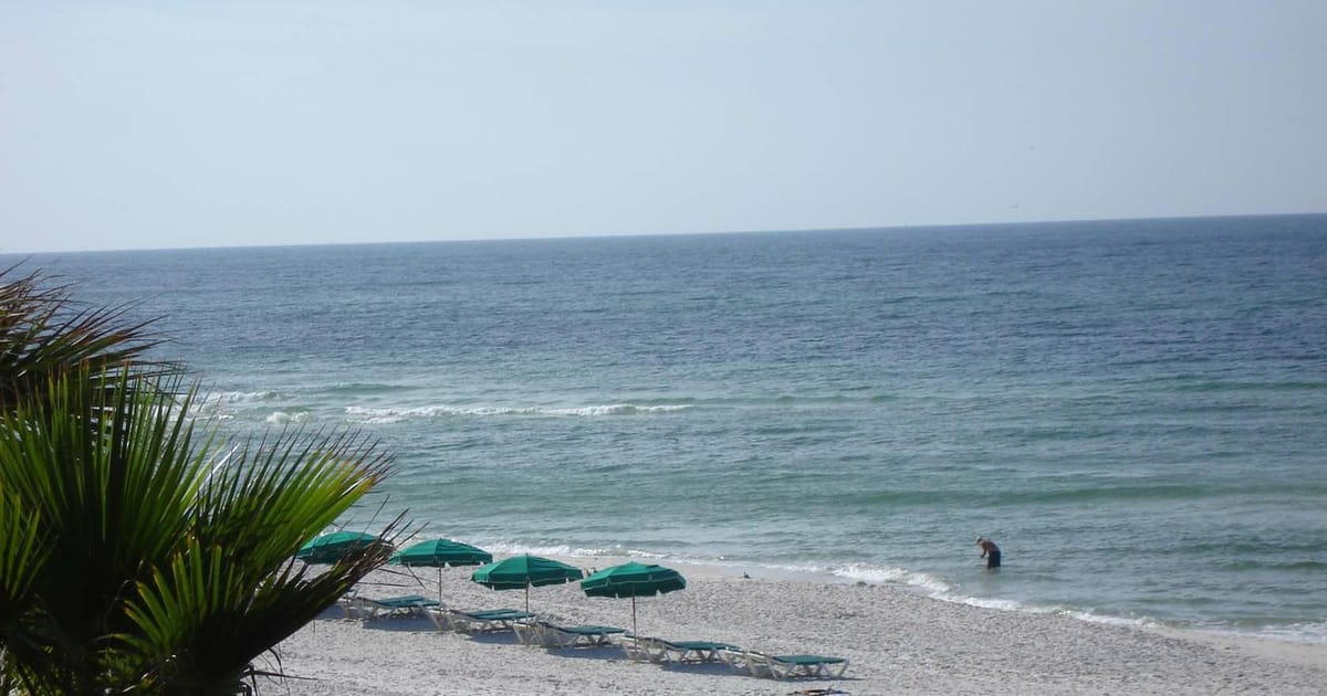 Summer Stephens - Monticello, GA and St. Augustine, FL, Author of ...